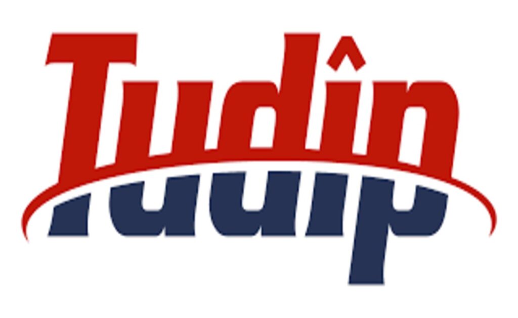 QA Engineer (Manual Testing) | Tudip Technologies Pvt. Limited | Pune ...